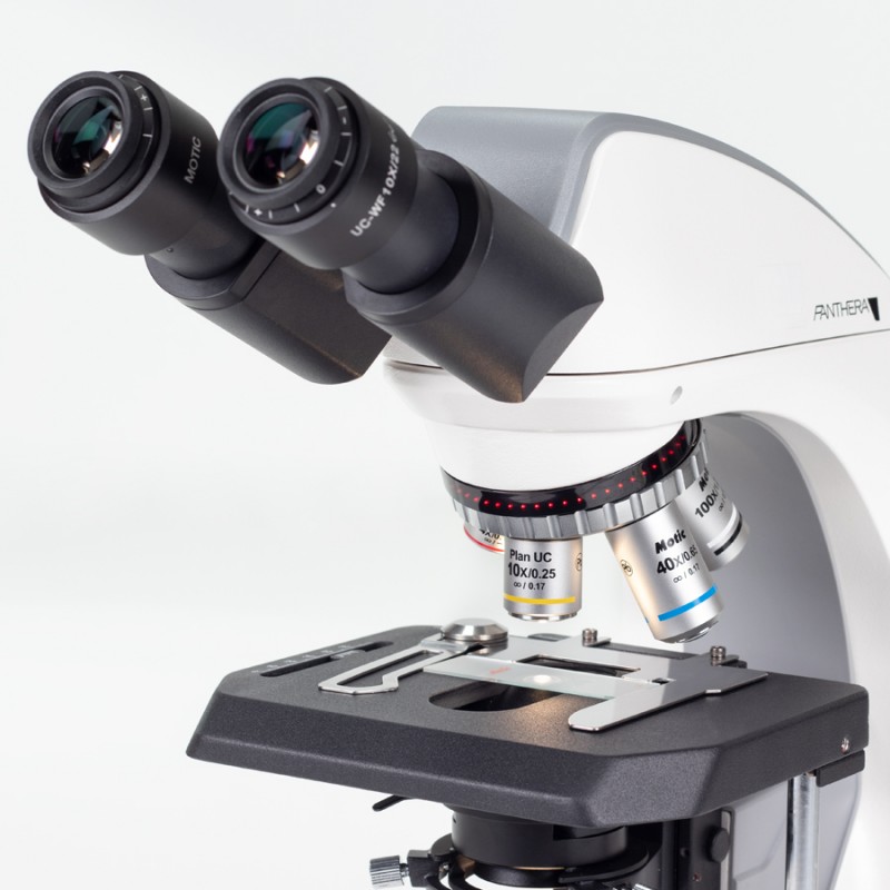Microscope Panthera C2 PHASE 40x 100x binoculaire