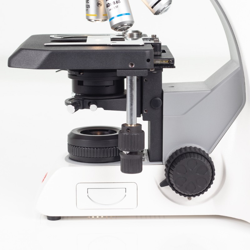 Microscope Panthera C2 PHASE 40x 100x binoculaire