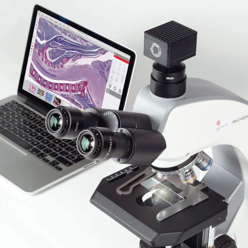 Microscope Panthera C2 LED trinoculaire