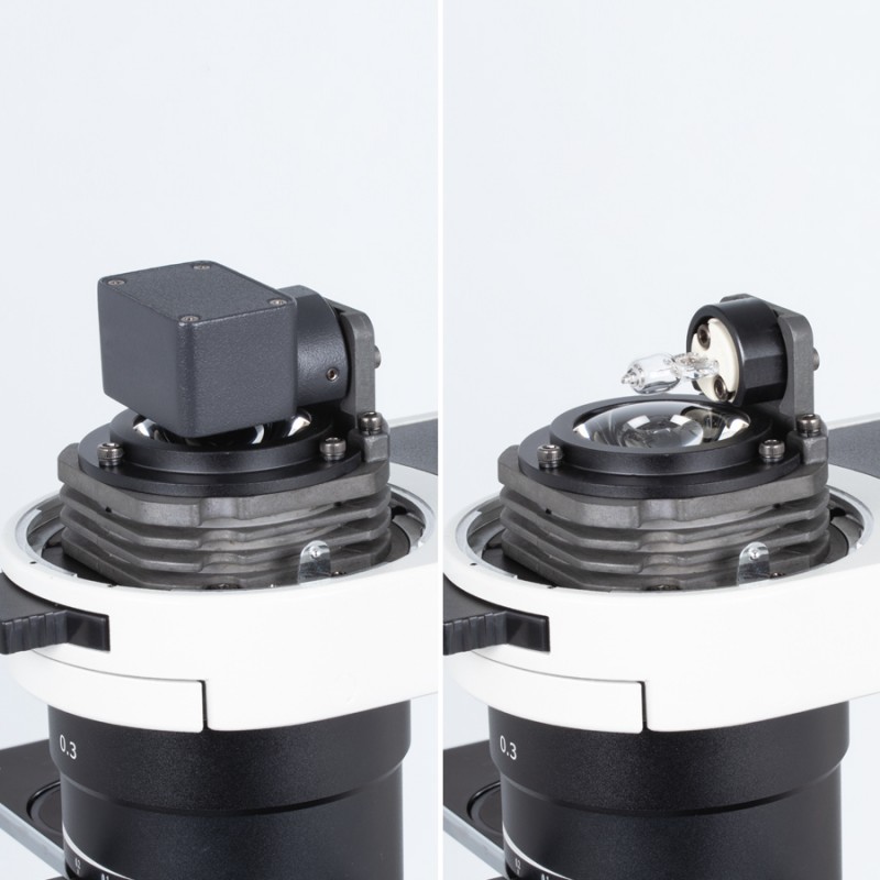Microscope inversé AE2000 binocuaire à contraste de phase
